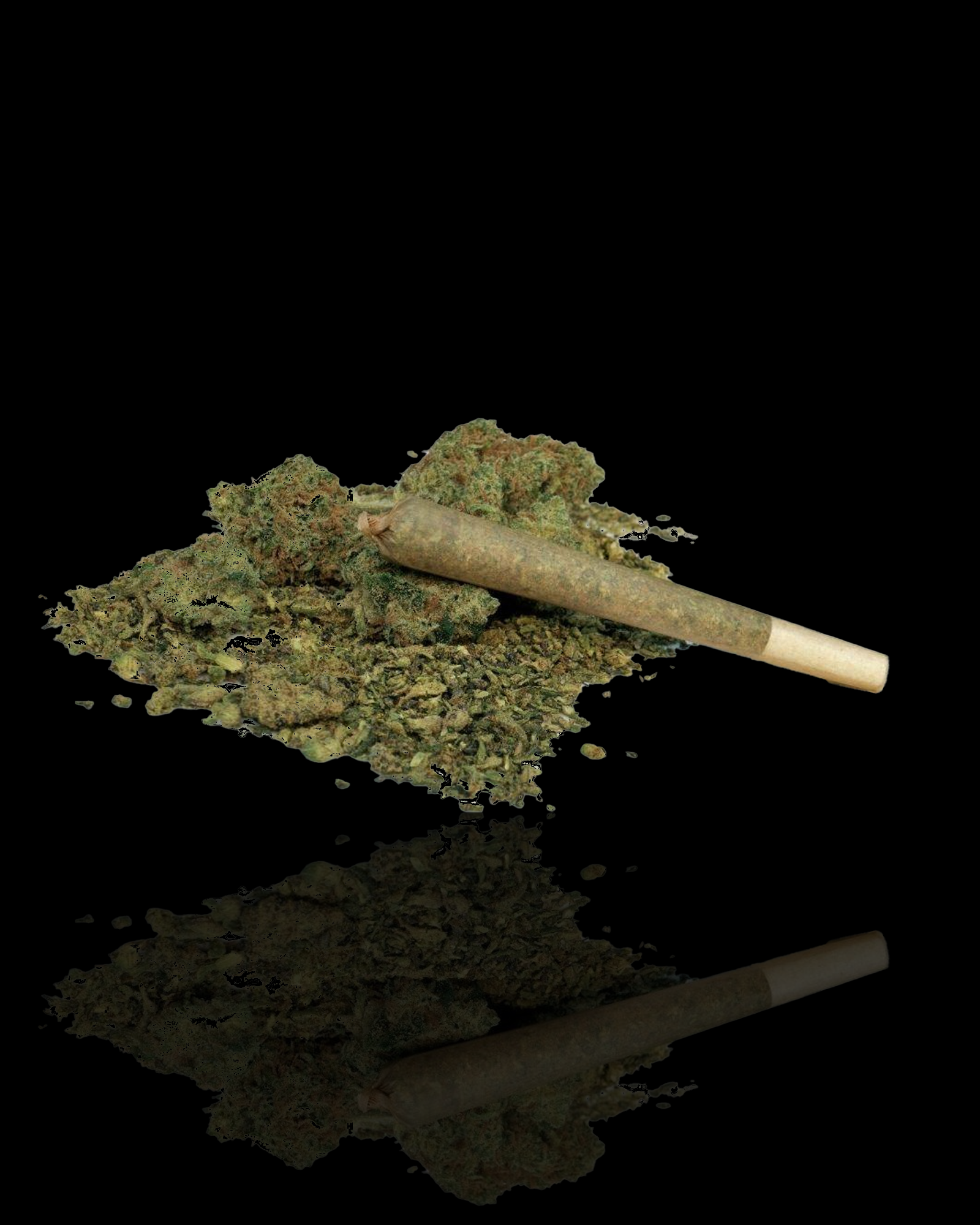 THCa Products for Sale – Premium Quality You Can Trust – YAGA Farms