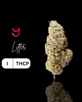 Indoor Exotic Strains – YAGA Farms