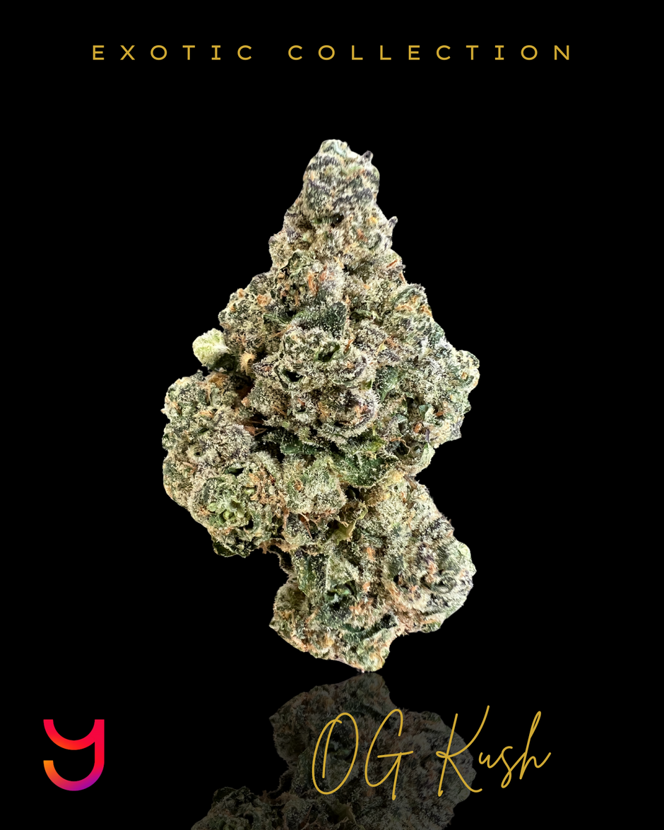 Indoor Exotic Strains – YAGA Farms